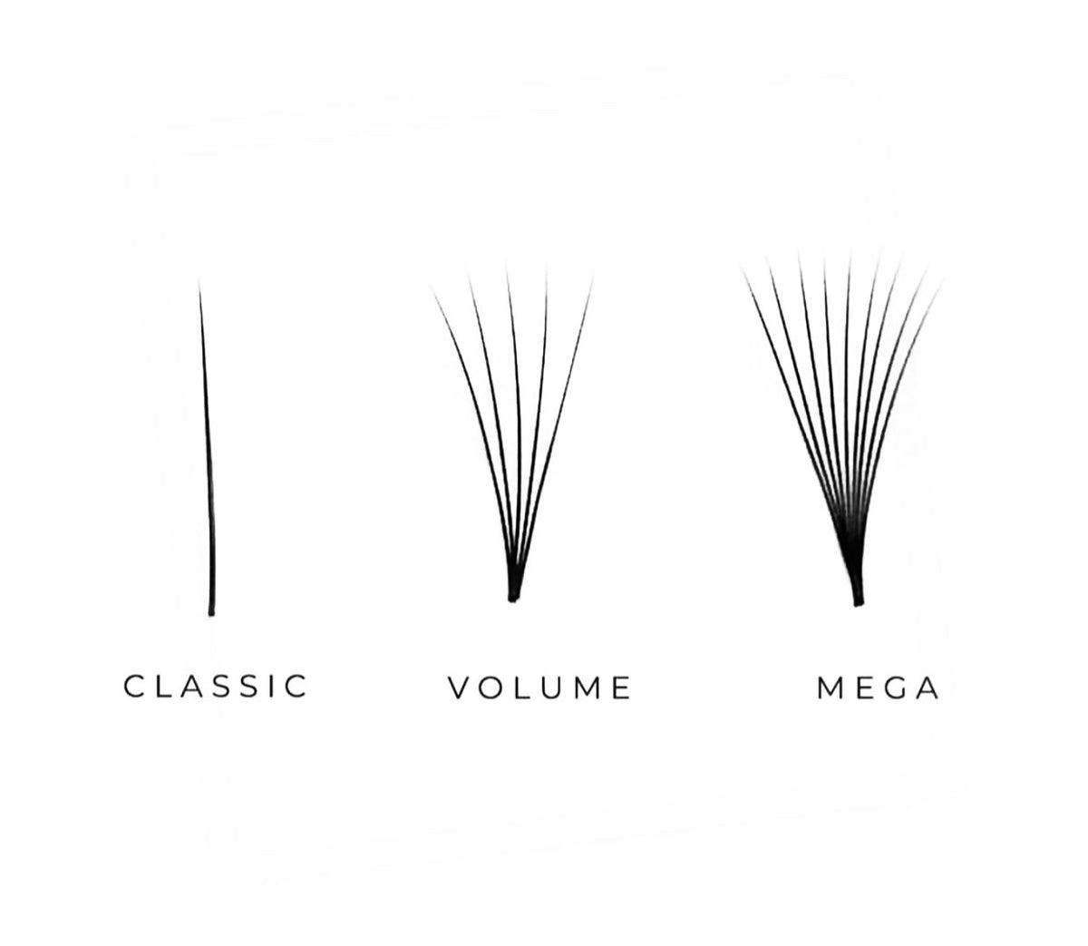 Classic Lash Service – Lash Factor Shop